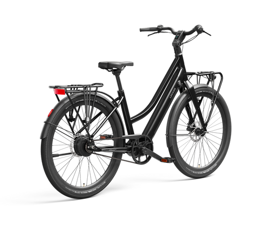 LEKKER Bikes | Powerful eBike | GTS Limited Edition| Premium Quality ...